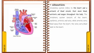 CIRCULATION: HEART AND AORTIC ARCHES | PPTX