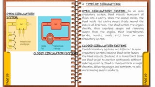 CIRCULATION: HEART AND AORTIC ARCHES | PPTX