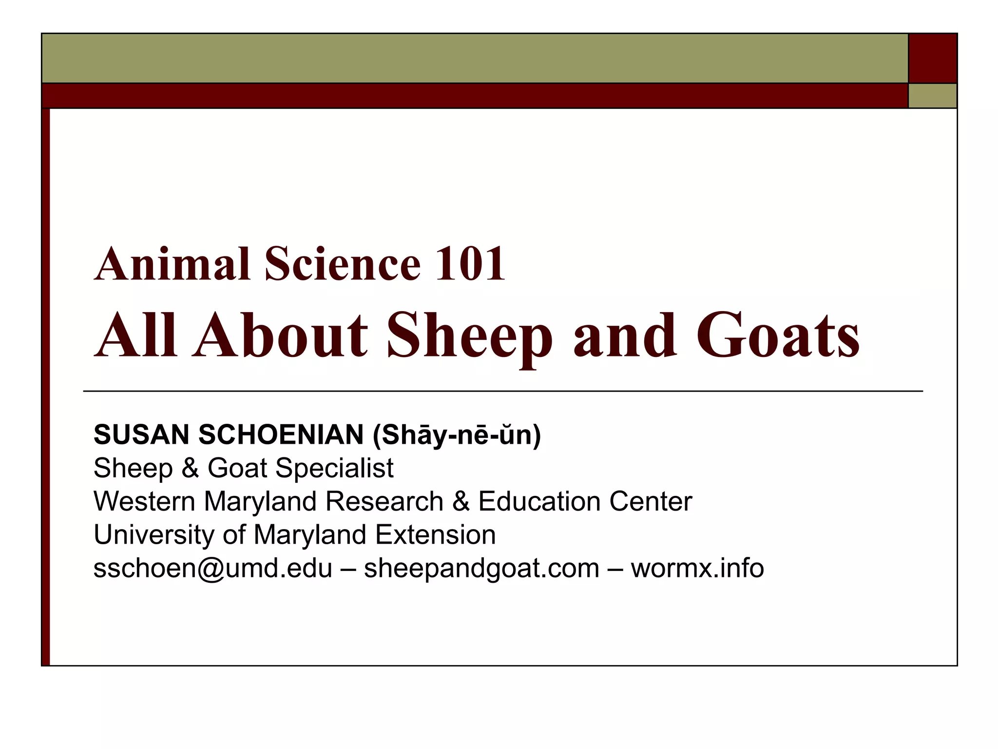 An overview of sheep and goats | PPT