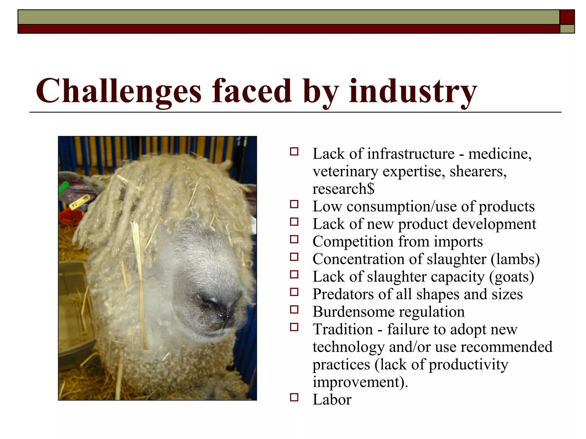 An overview of sheep and goats | PPT