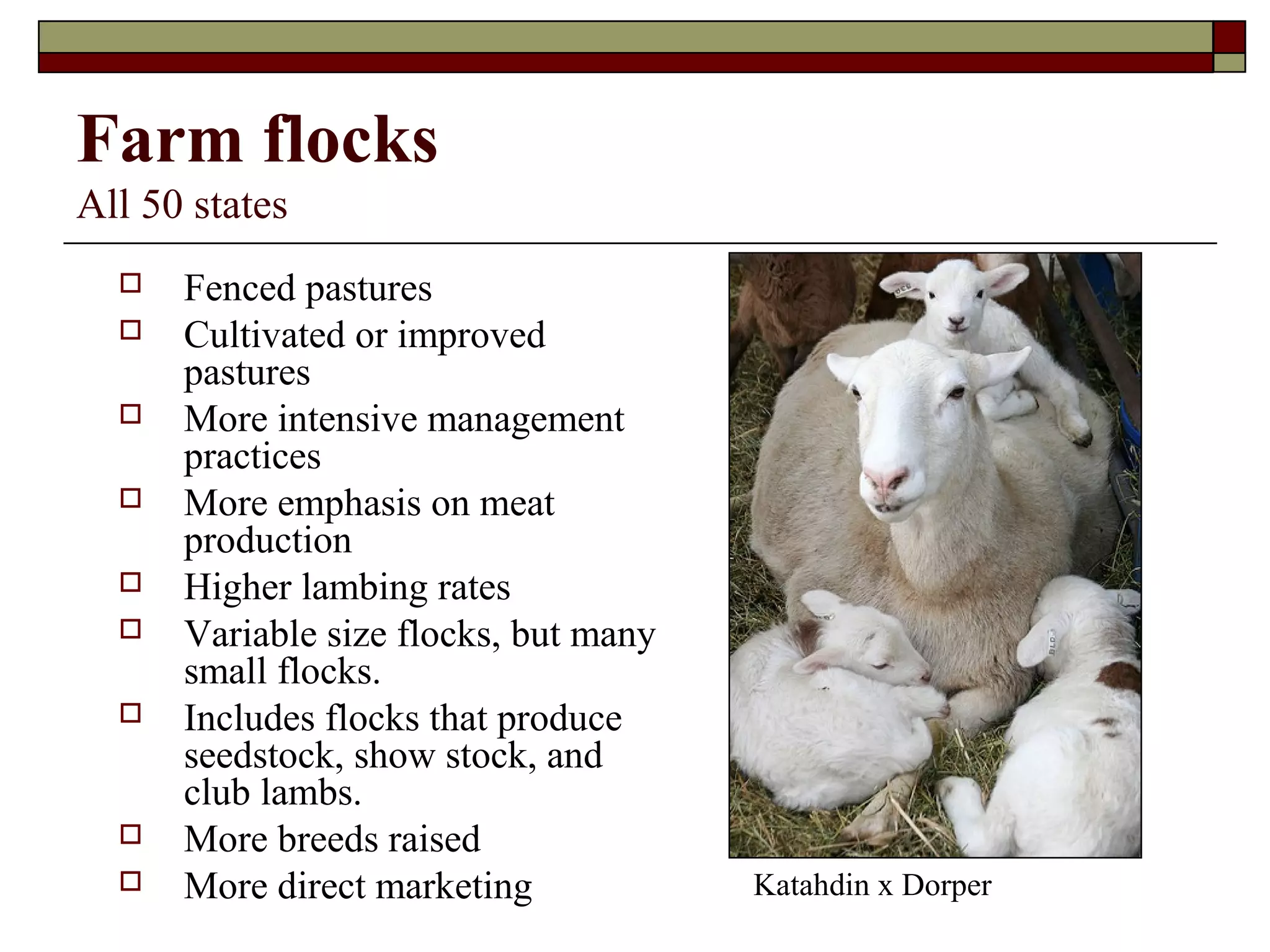 An overview of sheep and goats | PPT