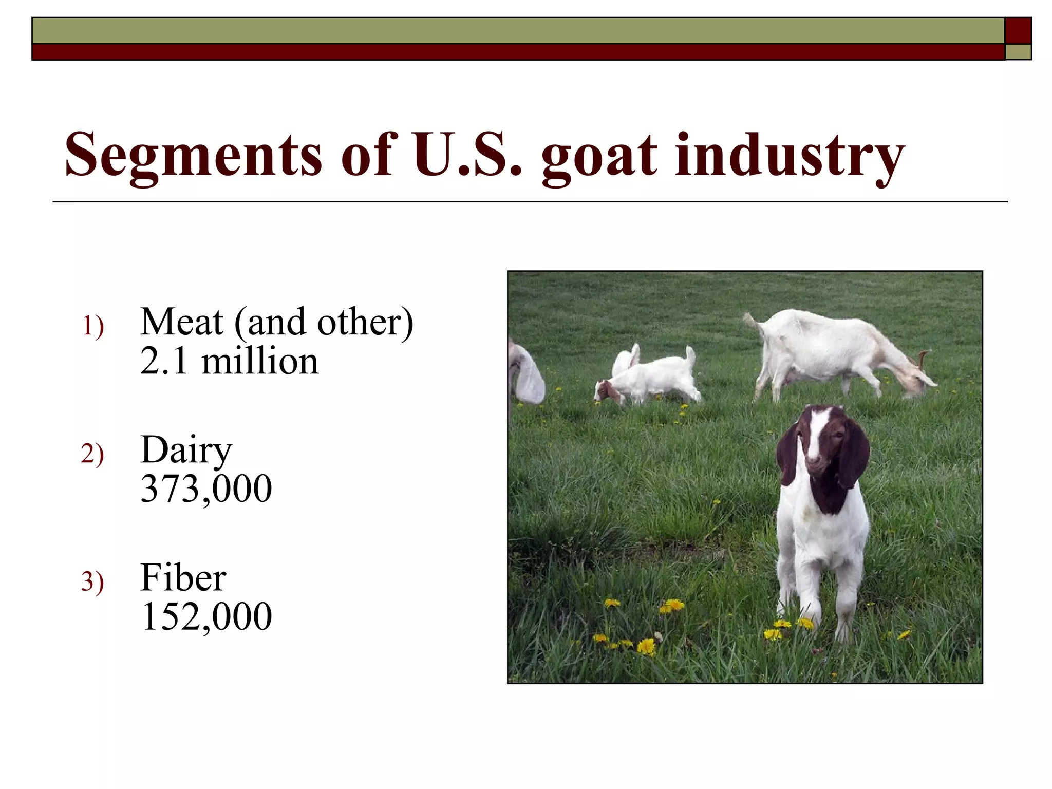 An overview of sheep and goats | PPT