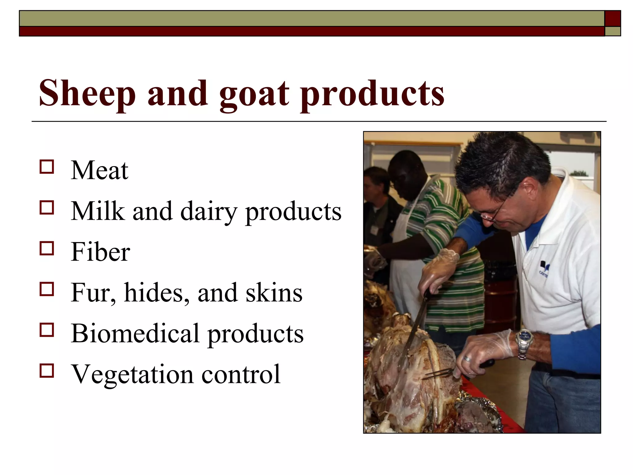 An overview of sheep and goats | PPT