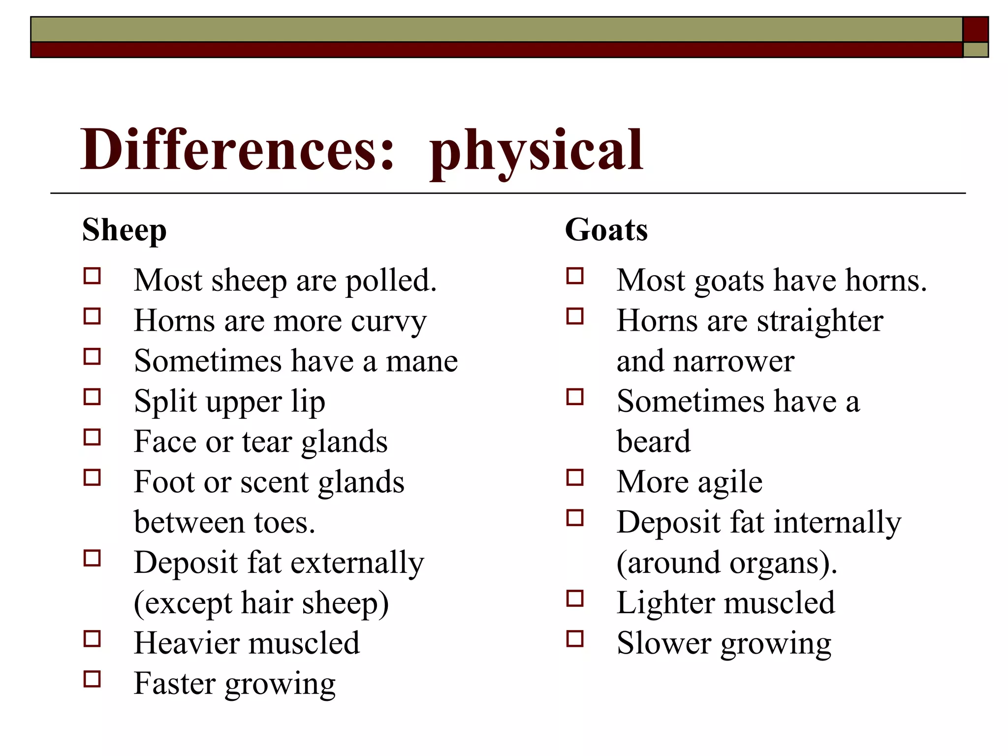 An overview of sheep and goats | PPT