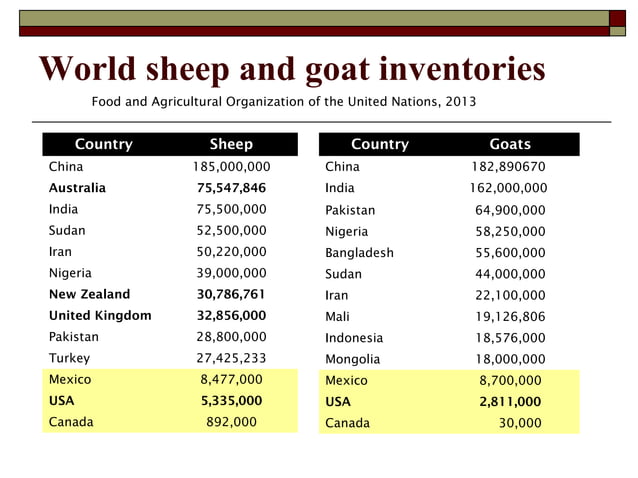 An overview of sheep and goats | PPT