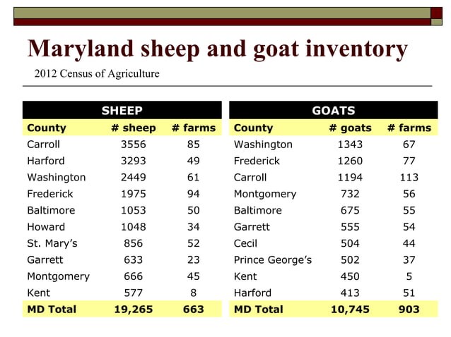 An overview of sheep and goats | PPT