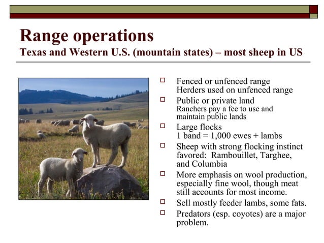 An overview of sheep and goats | PPT