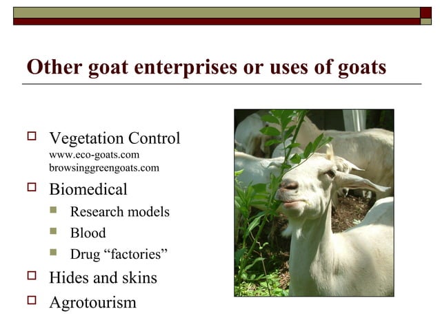 An overview of sheep and goats | PPT