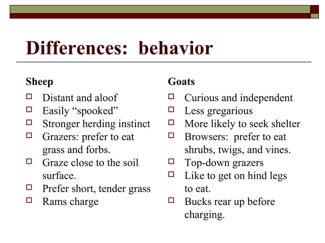 An overview of sheep and goats | PPT