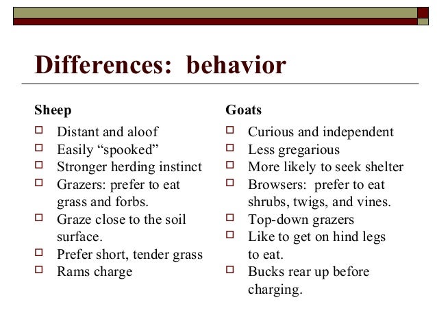 An overview of sheep and goats