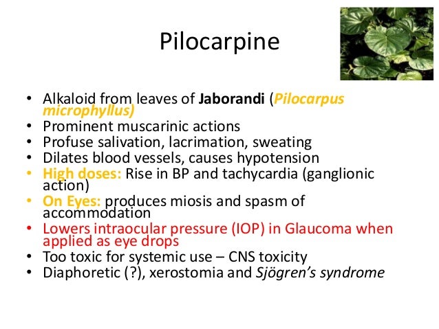 Autonomic Pharmacology and Cholinergics - drdhriti