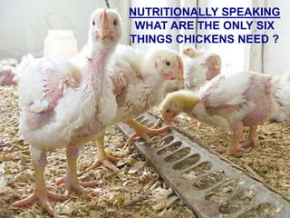 ANSCI Nutrition.ppt