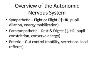 ANS_CNS_Humanized_Sampleslides for study.pptx
