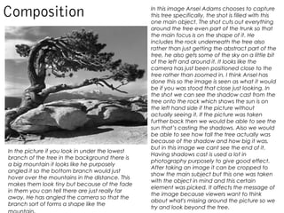 Ansel Adams | PPT