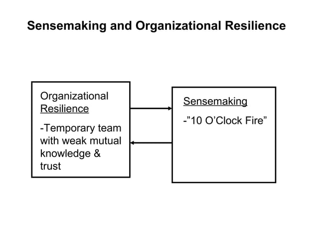 Ansell sensemaking lecture | PPT | Free Download