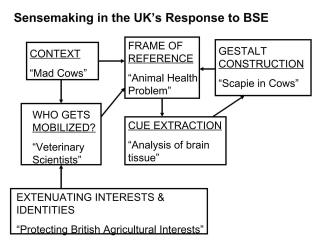 Ansell sensemaking lecture | PPT | Free Download