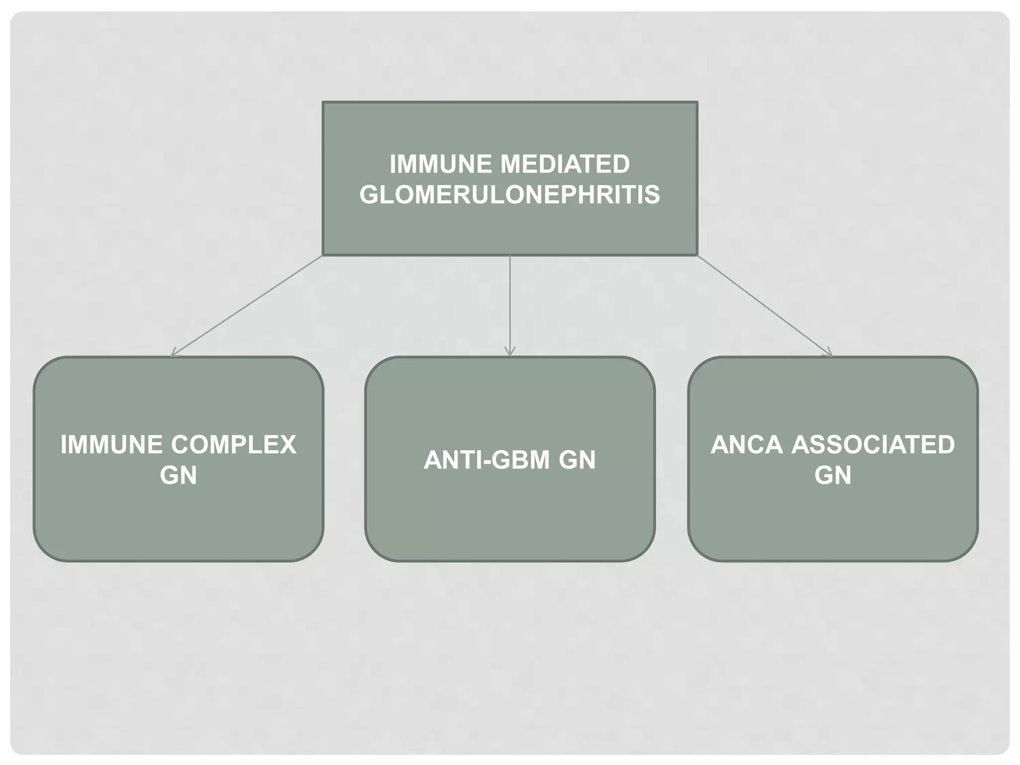 Acute Nephritic Syndromes | PPTX