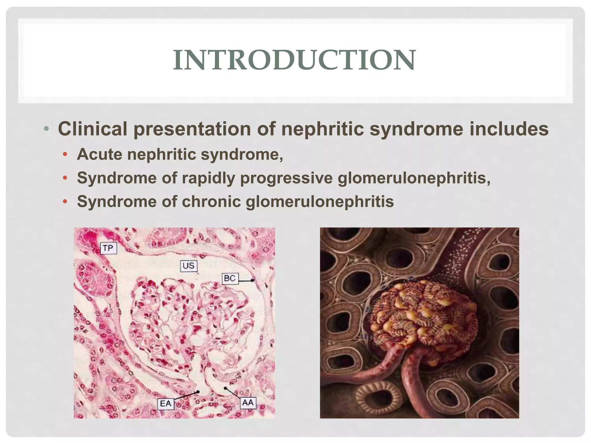 Acute Nephritic Syndromes | PPTX