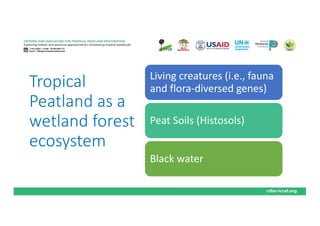 Peat Restoration: Making Tropical Peat Swamp Forest Ecosystem Alive | PDF