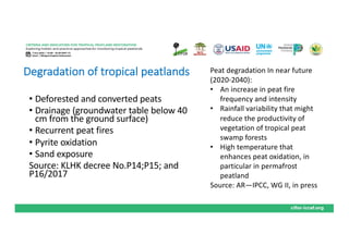 Peat Restoration: Making Tropical Peat Swamp Forest Ecosystem Alive | PDF