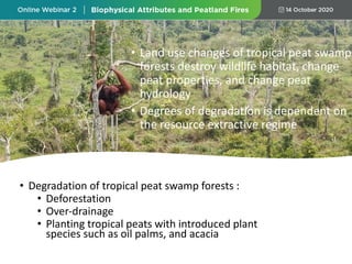 A framework for restoring degraded tropical peat swamp forests | PPT