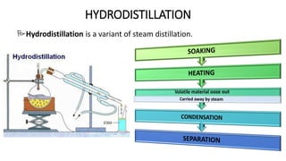 Extraction of aromatic compounds from spices | PDF | Perfume and ...