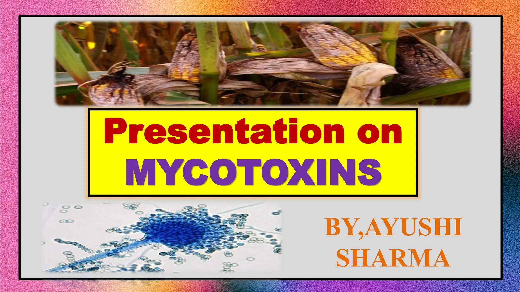term mycotoxin is derived from the Greek word – ‘mykes’ meaning ‘fungus ...