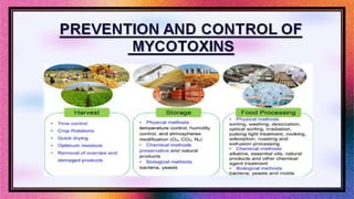 term mycotoxin is derived from the Greek word – ‘mykes’ meaning ‘fungus ...