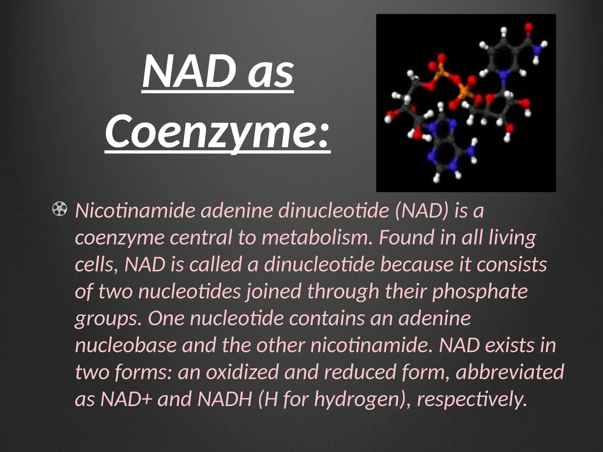 Role of NAD: A Crucial Cellular Coenzyme.pptx