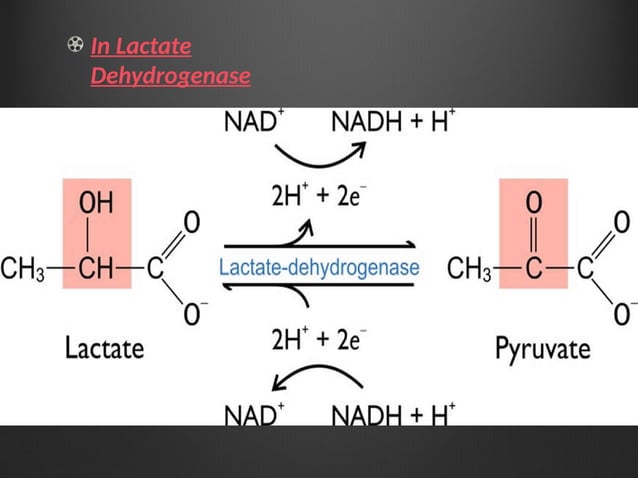 Role of NAD: A Crucial Cellular Coenzyme.pptx | Chemistry | Science
