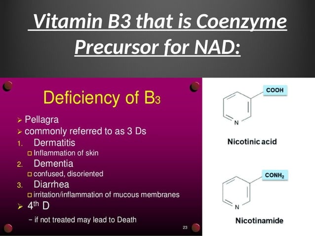 Role of NAD: A Crucial Cellular Coenzyme.pptx | Chemistry | Science