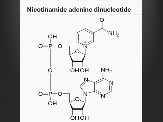 Role of NAD: A Crucial Cellular Coenzyme.pptx | Chemistry | Science