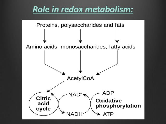 Role of NAD: A Crucial Cellular Coenzyme.pptx | Chemistry | Science