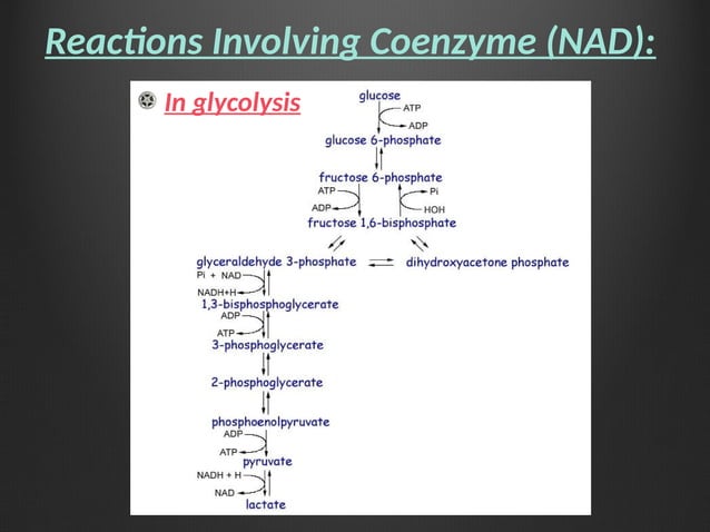 Role of NAD: A Crucial Cellular Coenzyme.pptx | Chemistry | Science