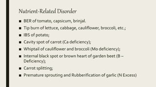 Physiological disorders of vegetables | PPTX
