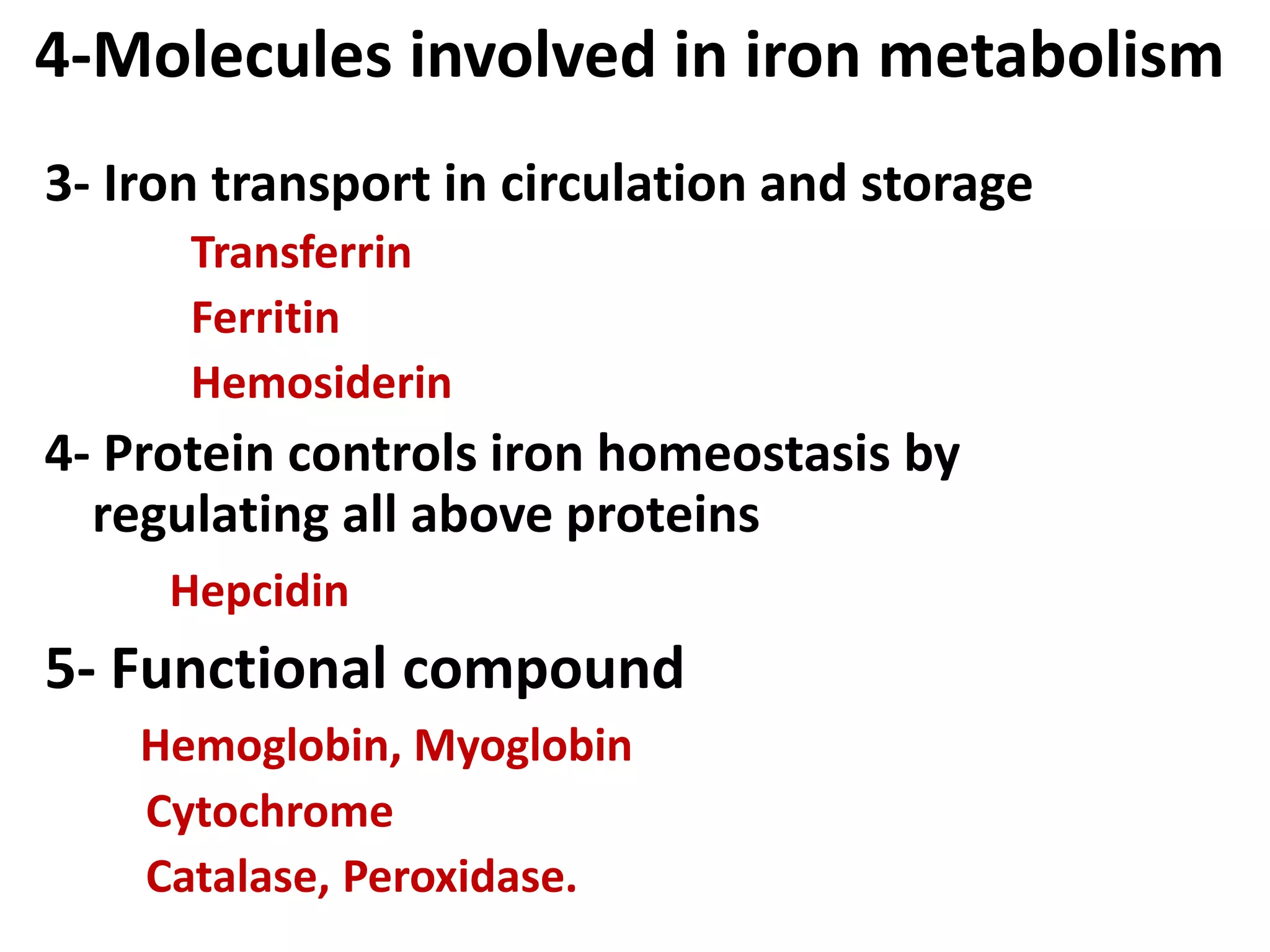 iron metabolism | PPTX