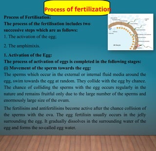 Anshuman Tripathy fertilization and varieties of twins production.pptx