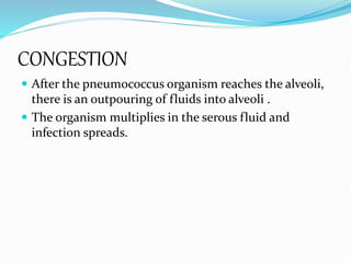 Pneumonia disease symptoms Care prevention and causes | PPTX