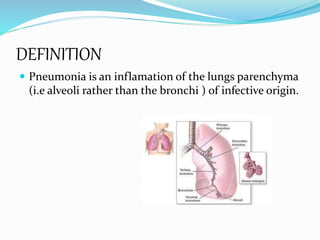 Pneumonia disease symptoms Care prevention and causes | PPTX