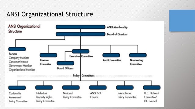 American National Standard Institute (ANSI)