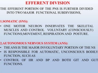 ANS introduction.pptx