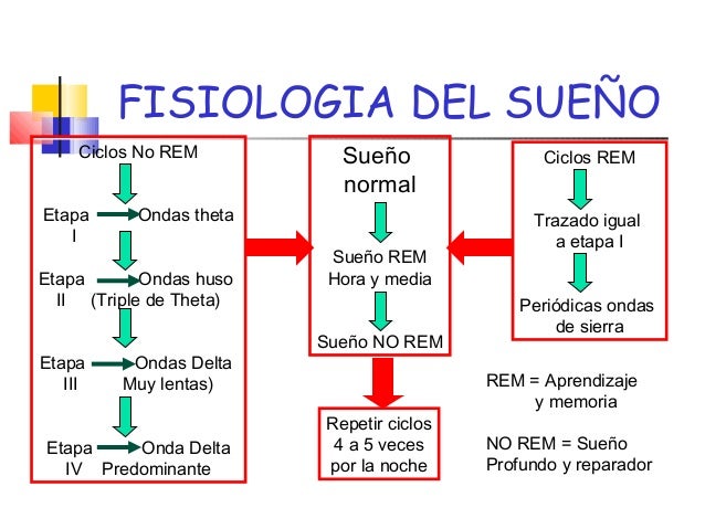 Aplica la Psicología a tu vida: Los sueños: psicología y fisiología