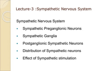 ANS_Lect-3.ppt | Brain and Nervous System Disorders | Diseases and ...