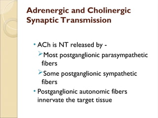 ANS_Lect-5.ppt sympathtic AND parasympathetic | PPT