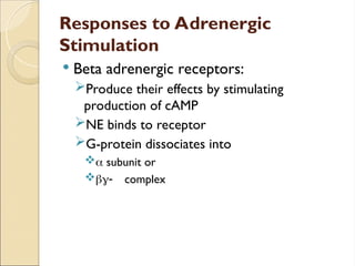 ANS_Lect-5.ppt sympathtic AND parasympathetic | PPT | Brain and Nervous System Disorders ...