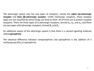 Autonomic Nervous Sytem and neurohumoral transmission-Dr.Jibachha Sah,M.V.Sc,Lecturer | PDF