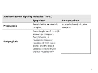 Autonomic Nervous Sytem and neurohumoral transmission-Dr.Jibachha Sah,M ...