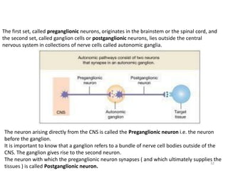 Autonomic Nervous Sytem and neurohumoral transmission-Dr.Jibachha Sah,M ...