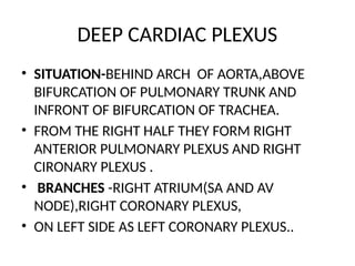 Autonomous Nervous System (ANS) of Thorax by Dr Debjani deka.pptx