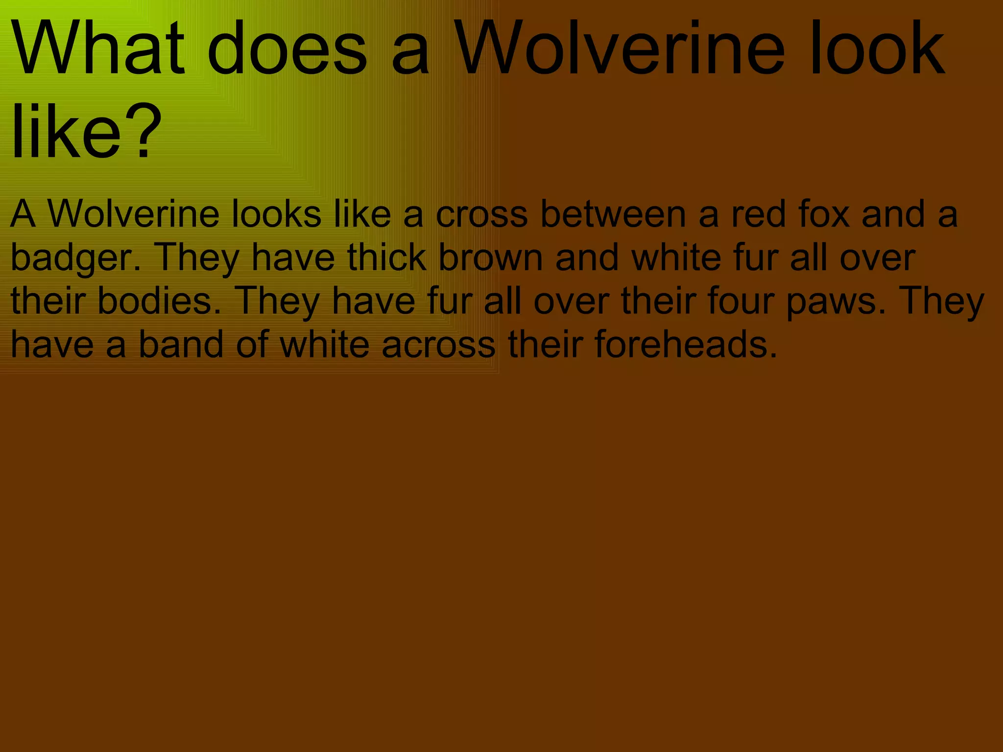Wolverine | PPT